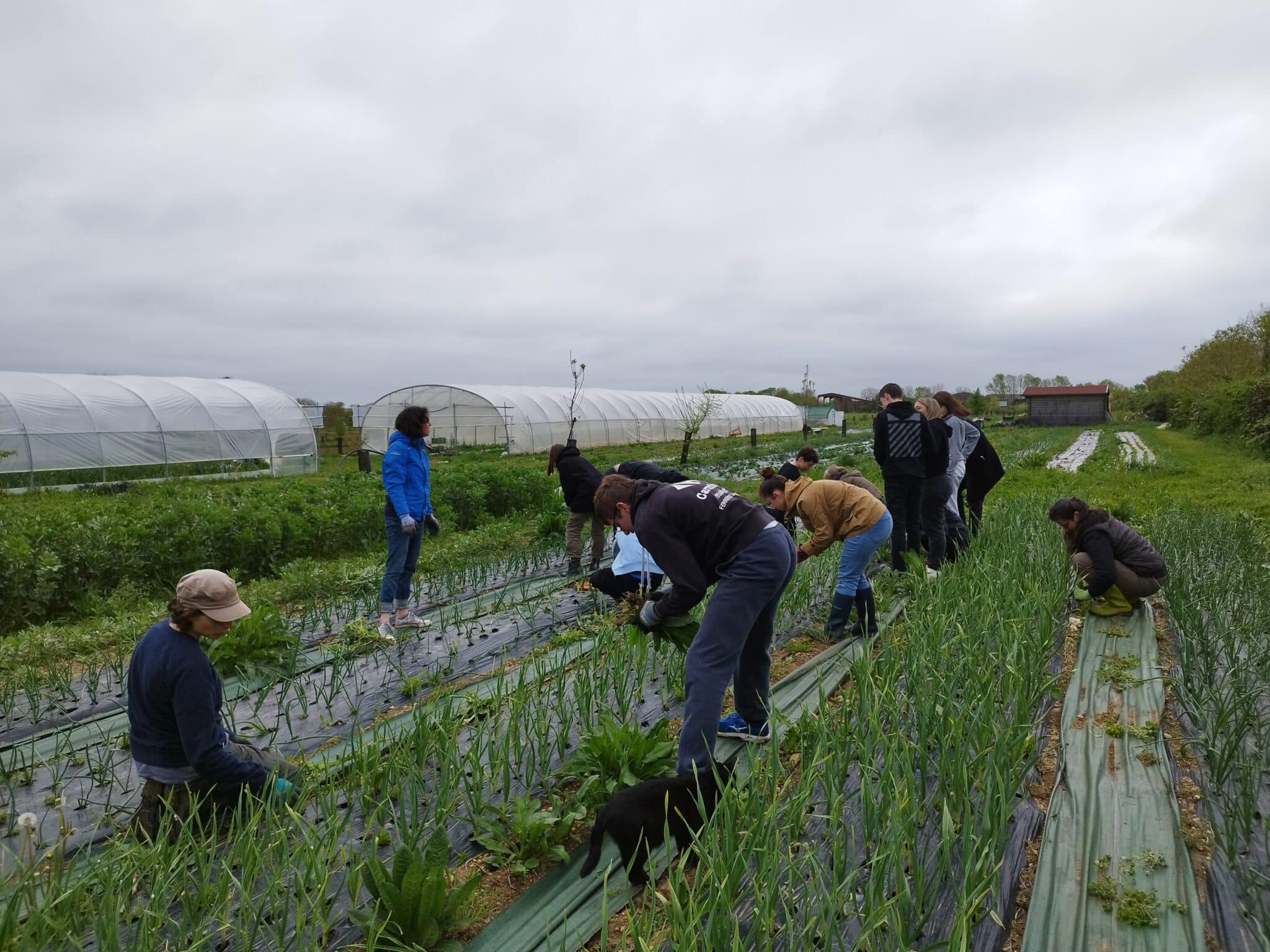 Lycée Hôtelier de La Rochelle | Le lycée hôtelier de La Rochelle