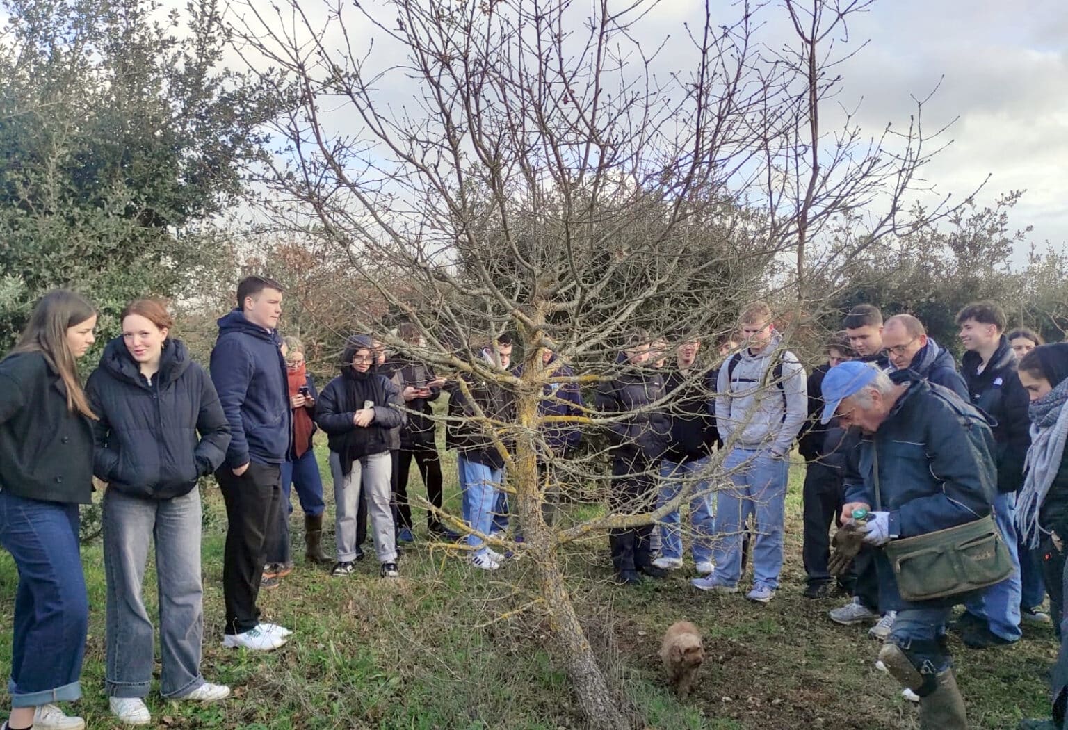 Lycée Hôtelier de La Rochelle | Le lycée hôtelier de La Rochelle